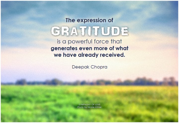 An Insight Into What Is Gratitude And How It Benefits Our Daily Life?